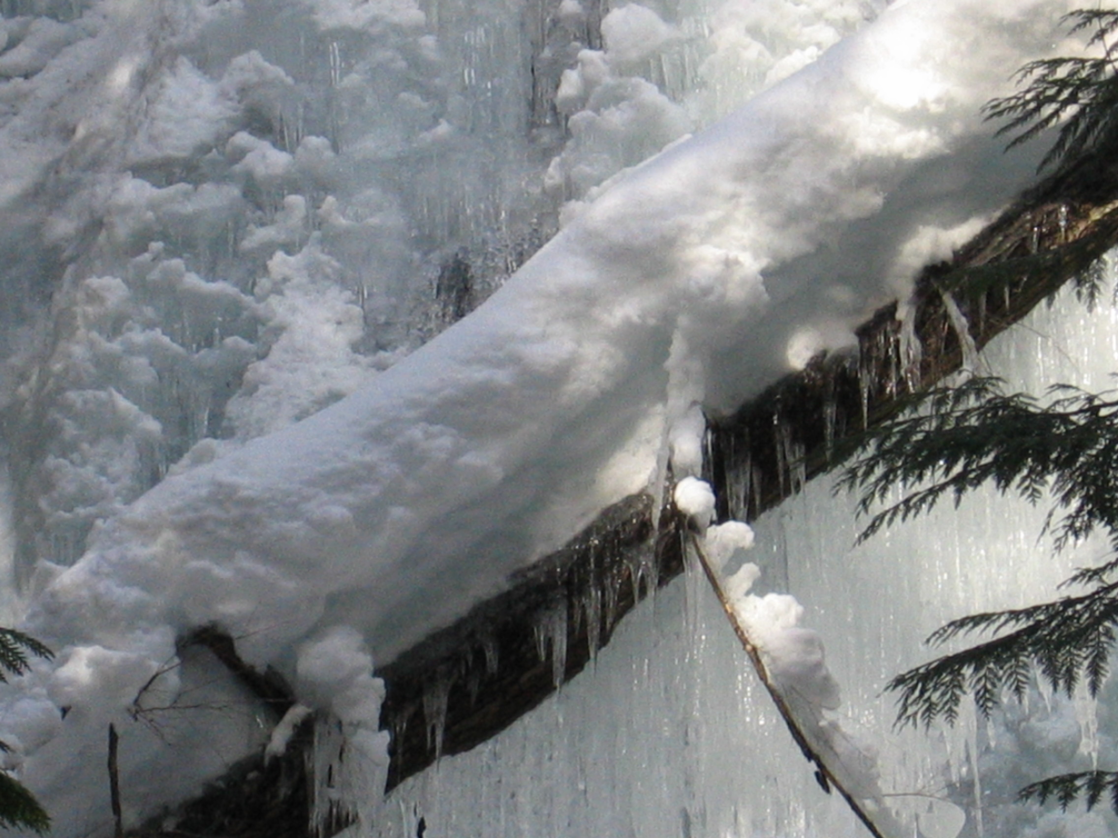 More Faces Of Winter | Mythspinner Studios